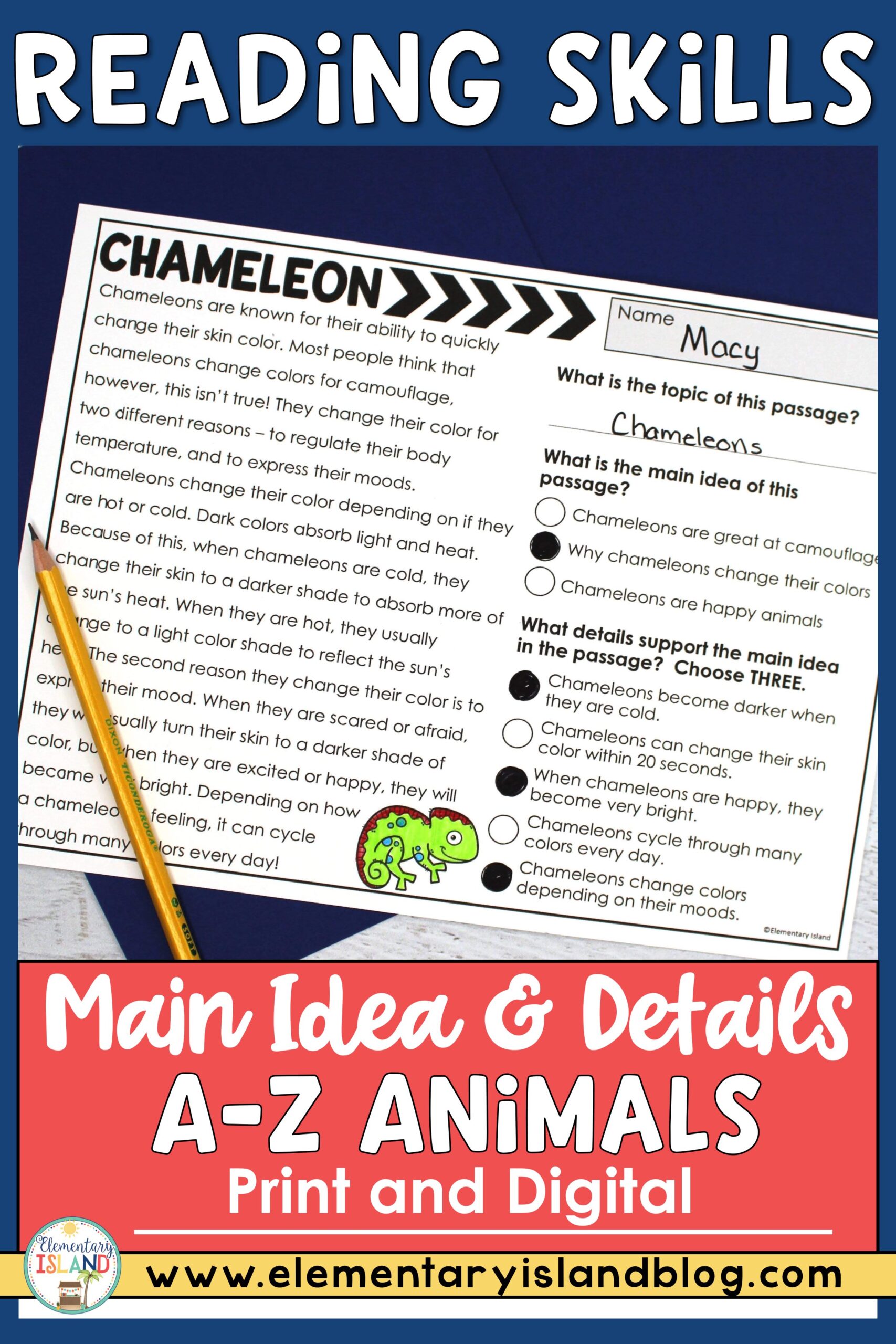 Must Have Main Idea and Details Worksheets for Elementary Students ...